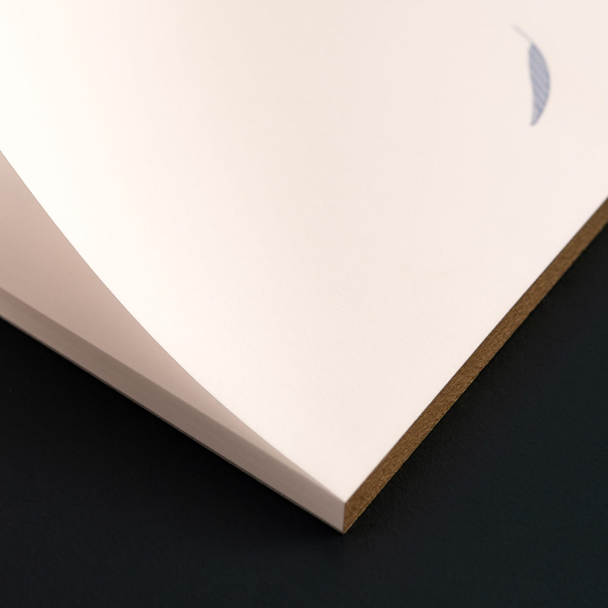 A4 NOTEPAD Letter paper BLUE PALM