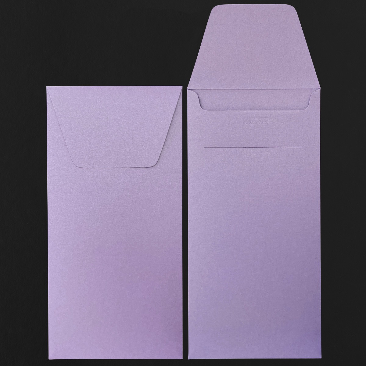 11×22 WISTERIA ENVELOPE